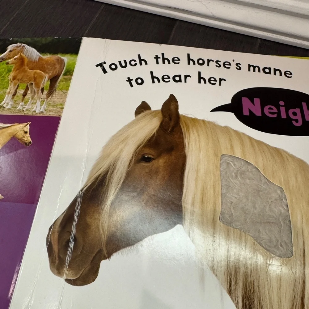 Noisy Books | Toys | Noisy Farm My First Touch And Feel Sound Book ...